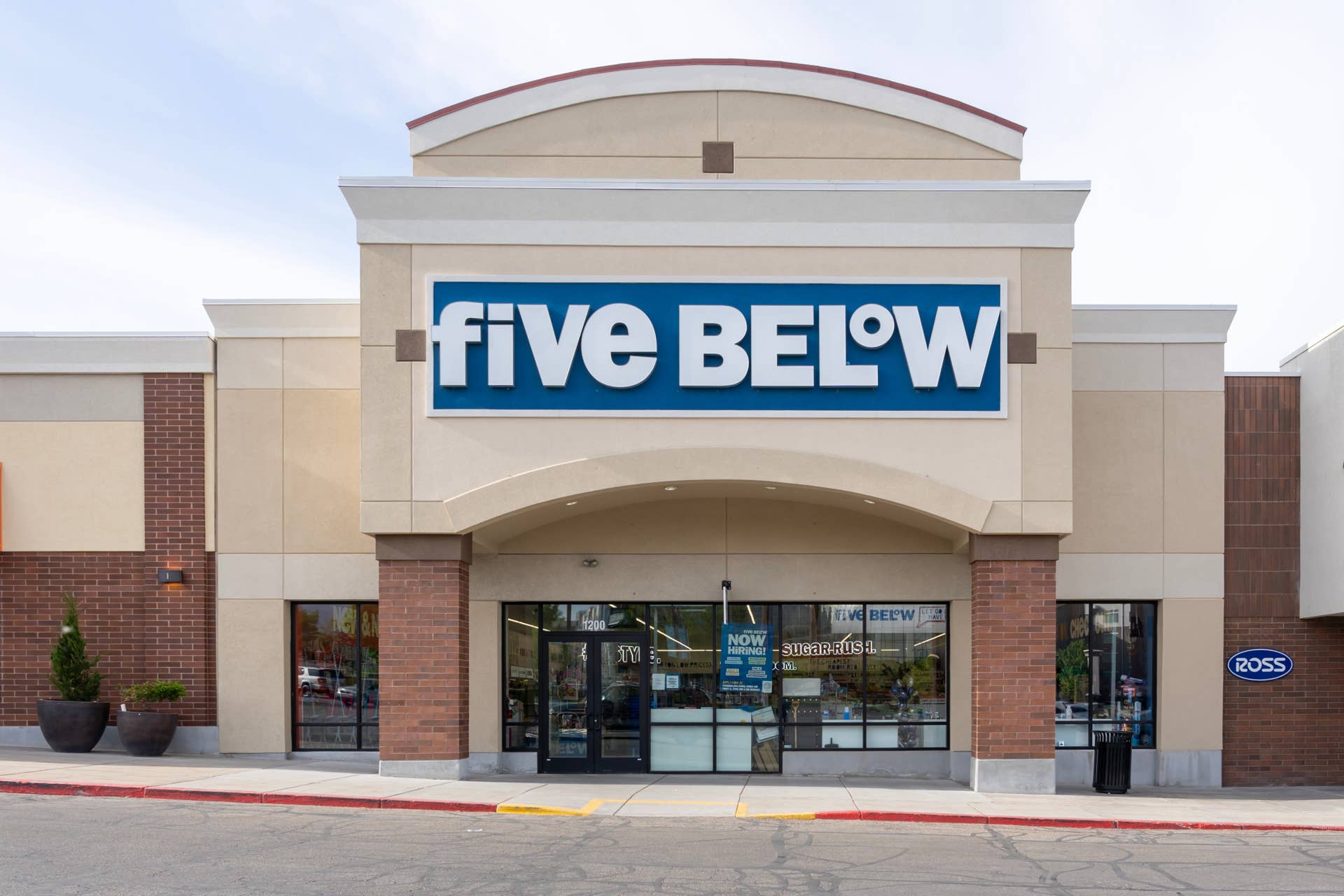 Five Below’s Flower Cat Scratcher Gives Cats a Fun Clawing Spot - PawNation