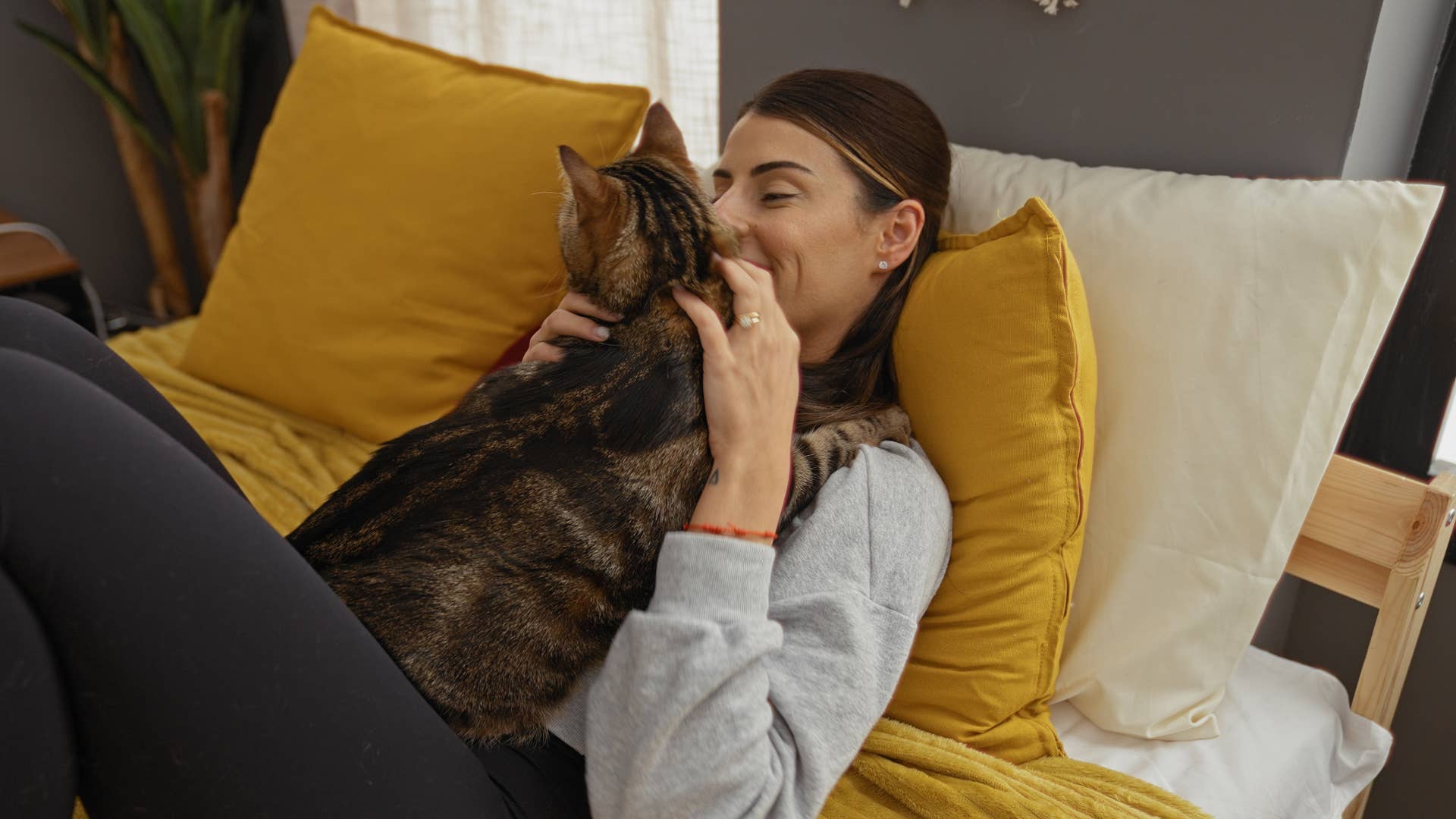 How to Pick a Sofa Using Your Cat: A Genius Fabric Hack - Paw Nation