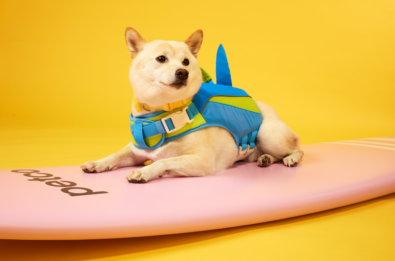 Petco’s 2026 Summer Line Has 100+ Cute New Items - Paw Nation