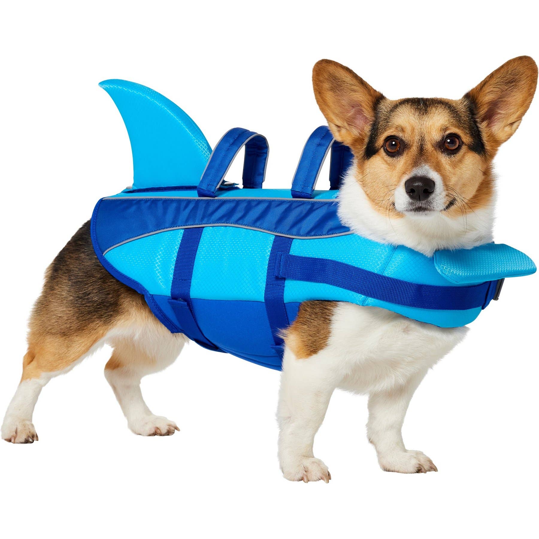This Shark Life Jacket From Chewy Keeps Pups Safe - Paw Nation