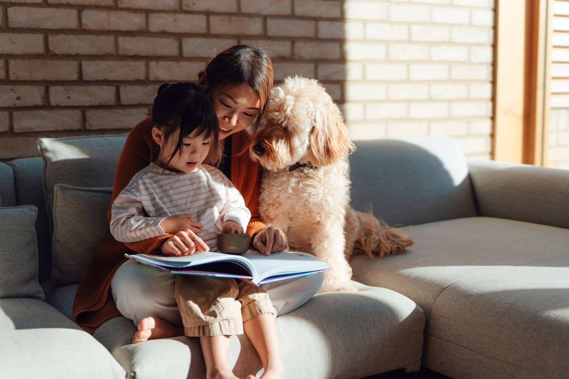 Woman Reads Dog a Story About Their Lives and It'll Make You Cry ...