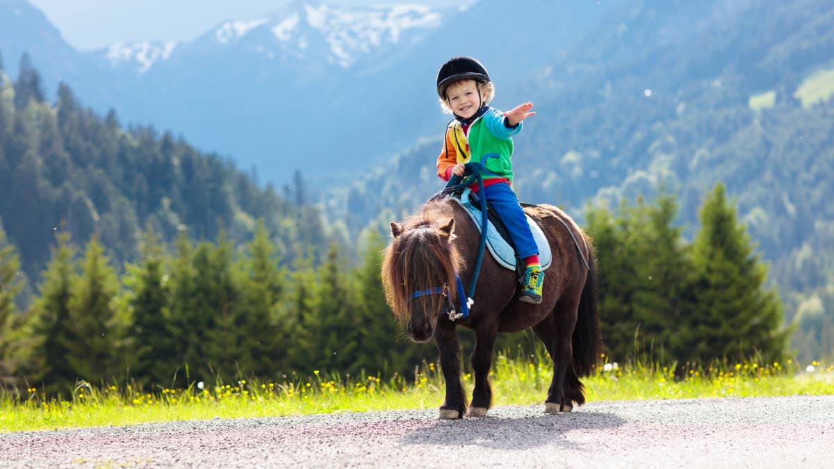 Little Girl’s Pony Ride Comes With a Bonus Feathered Passenger - Paw Nation