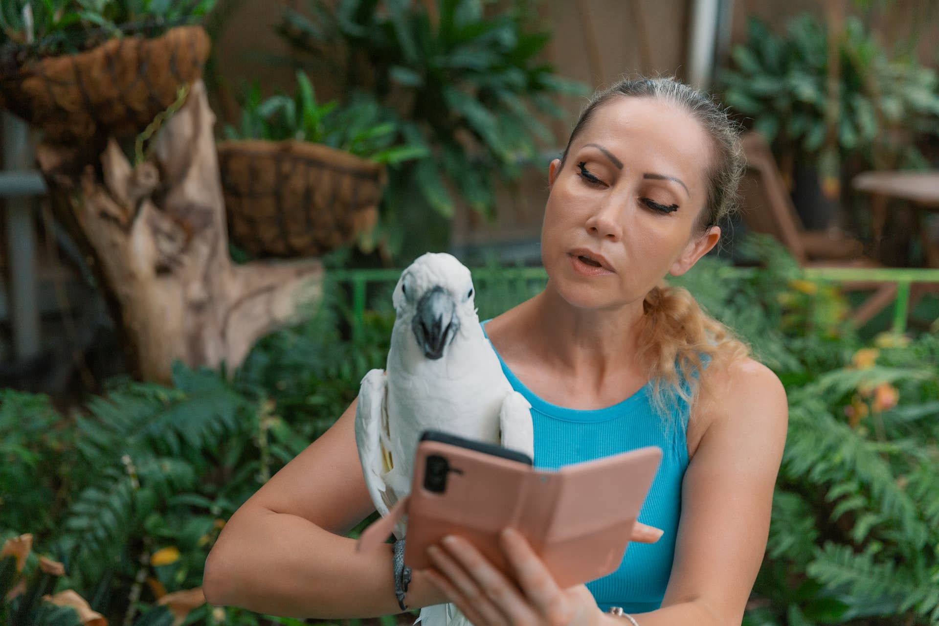 Cockatoo 'Doomscrolling' With Mom Is Just Like Us - Paw Nation