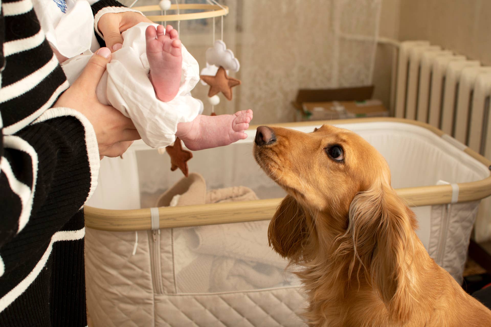 Baby Girl’s First Word Is Her Dog’s Name, and Hearts Are Melting ...