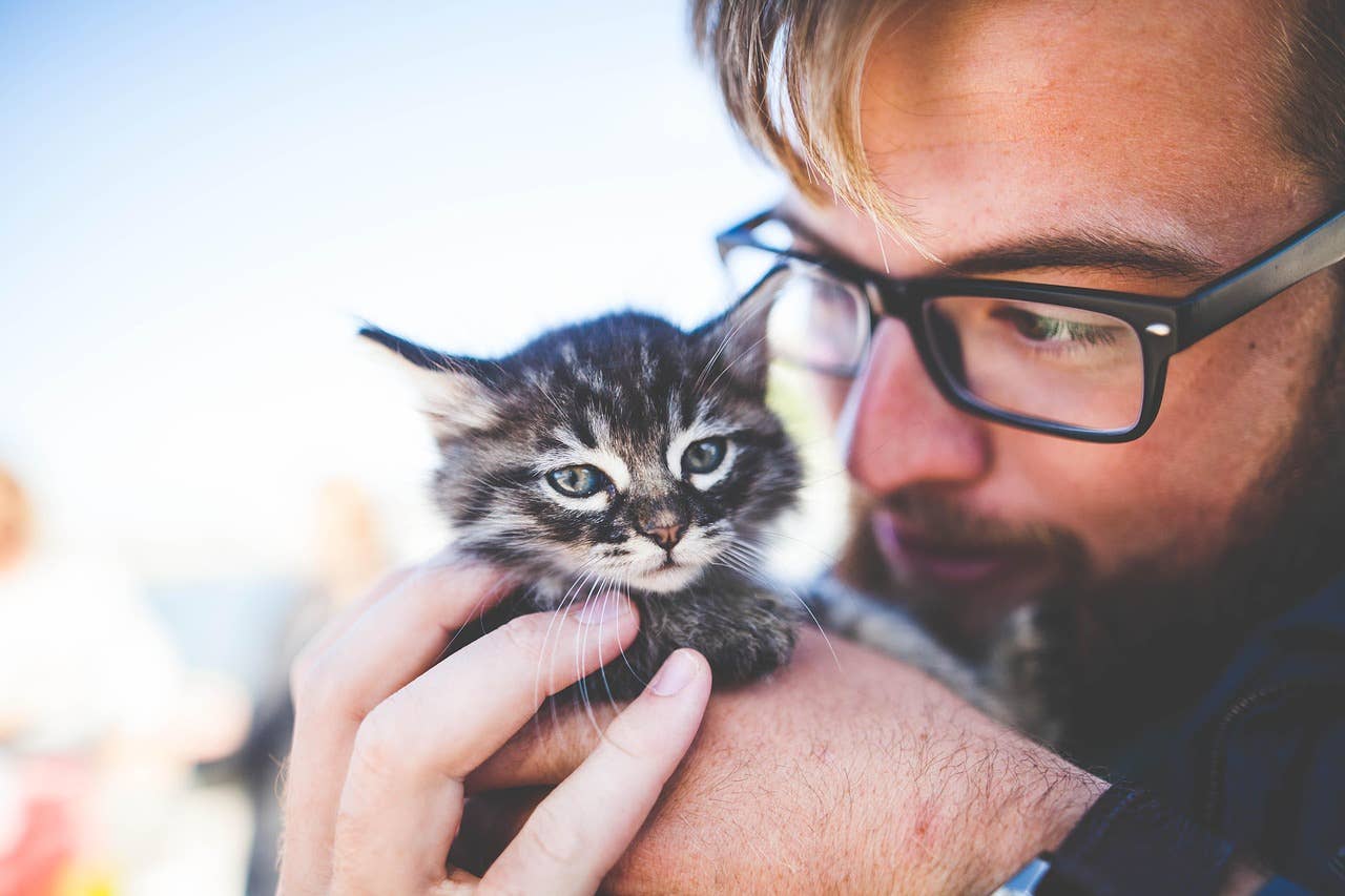 Man Realizes His Cat Watches Him With Pure Devotion - Paw Nation