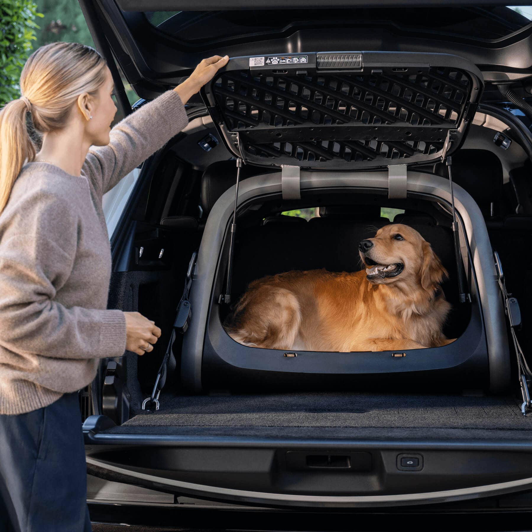 Tavo Pets Debuts Everett, a Crash-Tested Pet Cargo Crate - Paw Nation