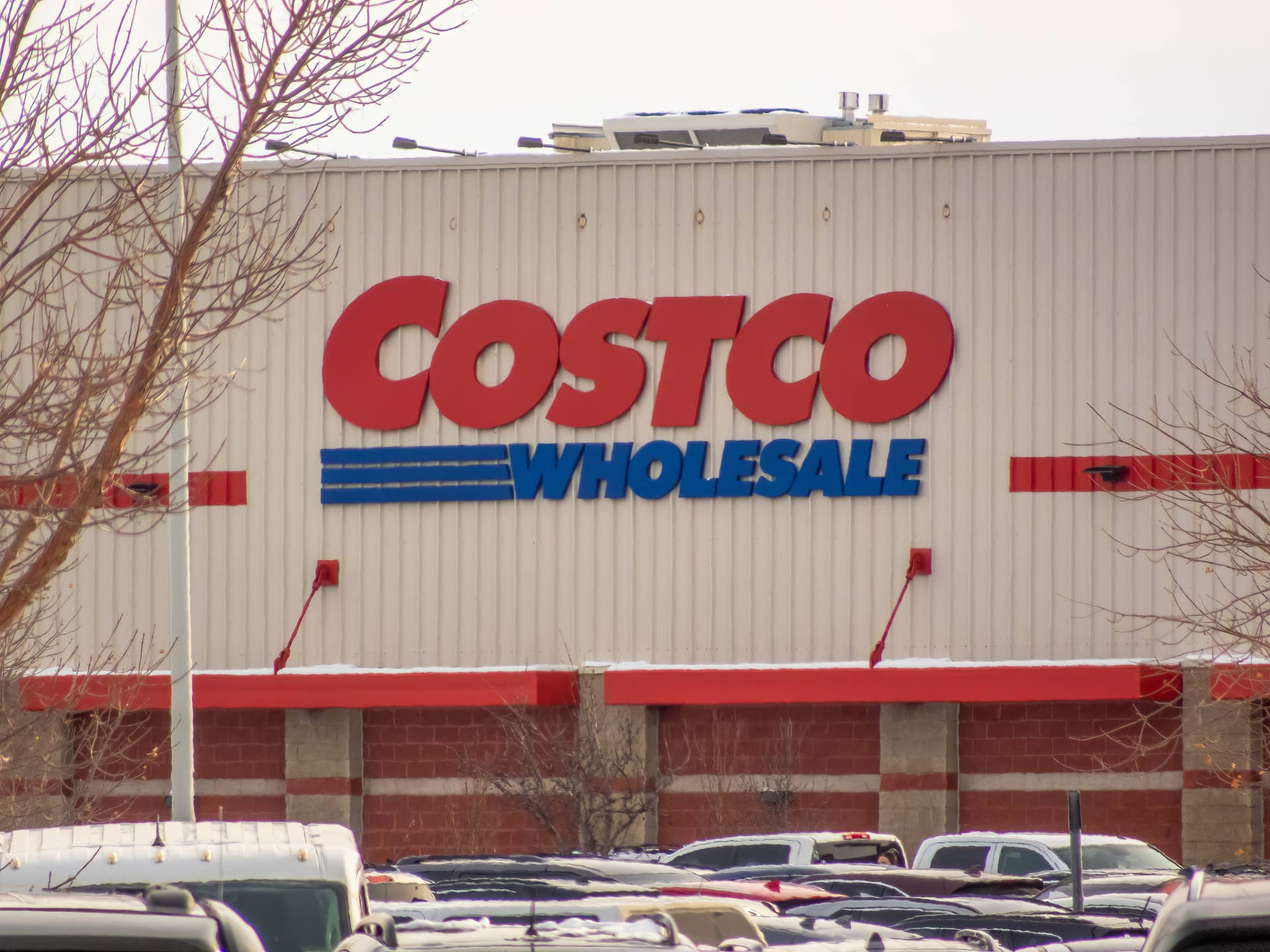 Costco’s 5-Level Cat Tree Is a Stylish Upgrade for Indoor Cats - PawNation