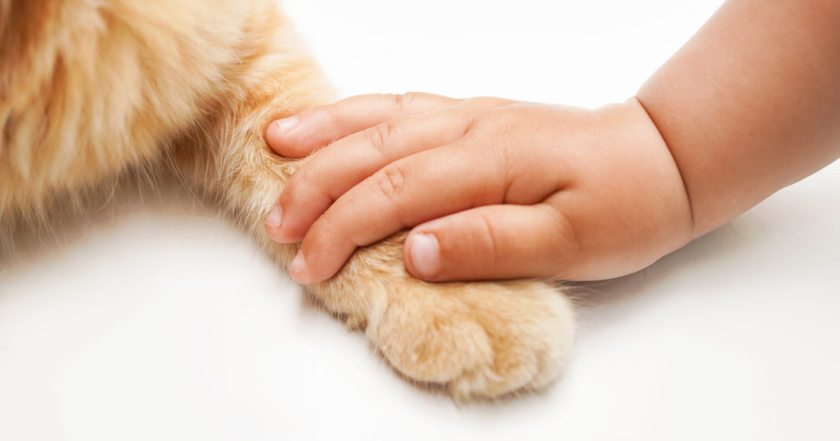 Baby Girl Holds a Kitten for the First Time and We’re All in Love ...