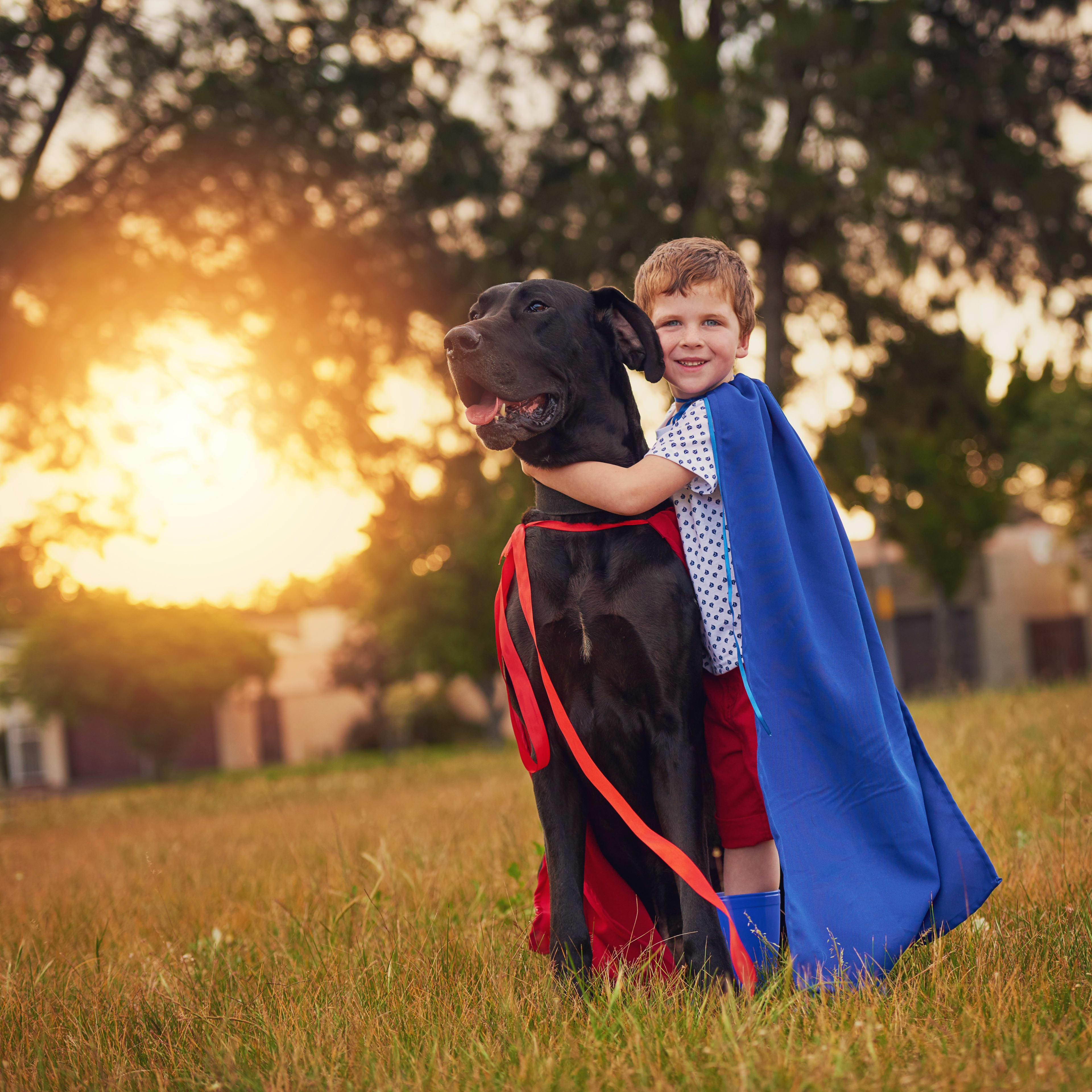 Gentle Giant Great Dane Meeting New Puppy Is the Sweetest Sight - PawNation