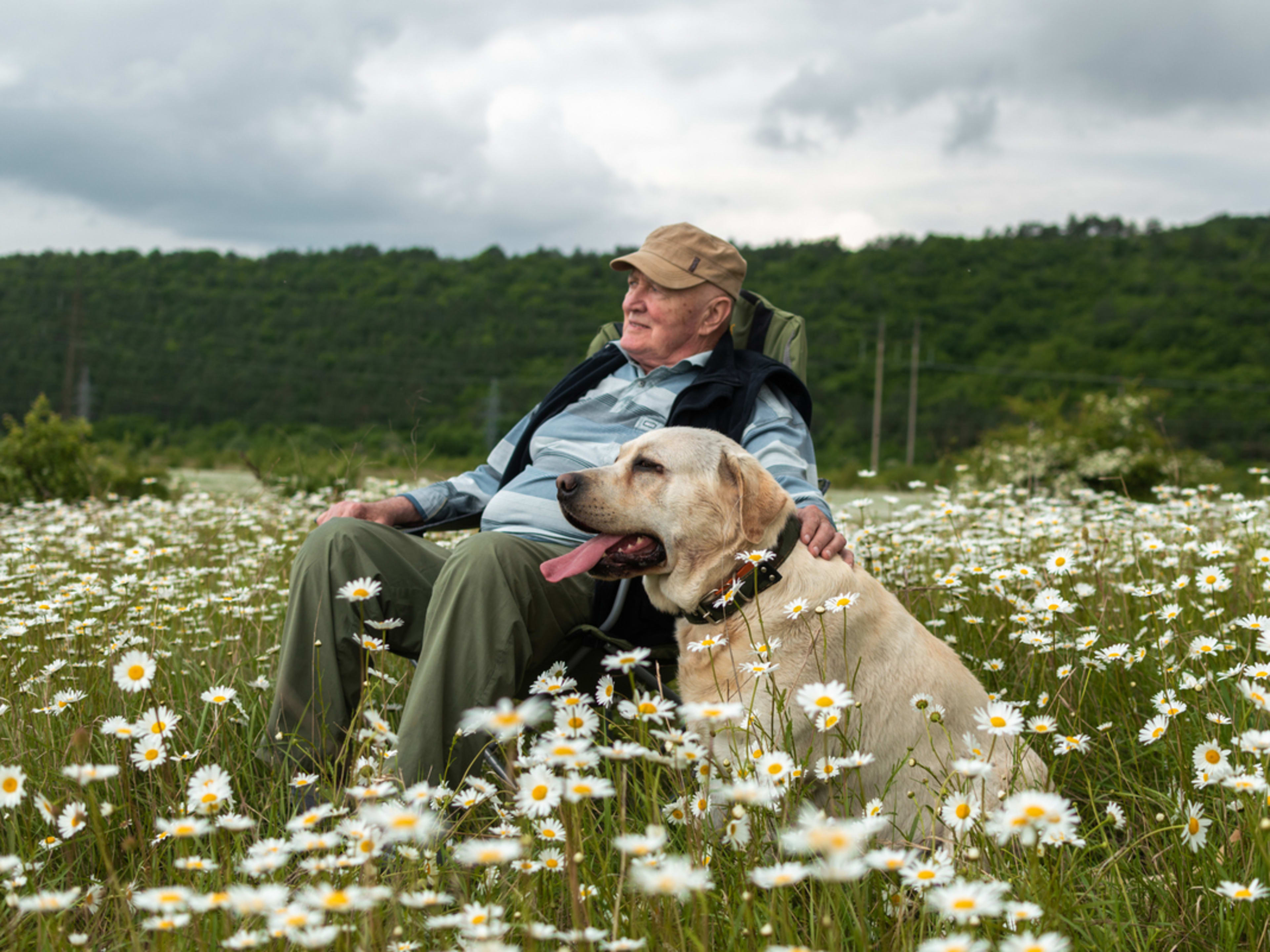 150+ 'Old Man' Dog Names That Are Hilariously Perfect - PawNation