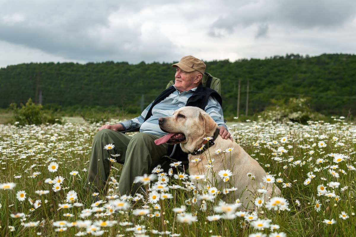 150+ 'Old Man' Dog Names That Are Hilariously Perfect - PawNation
